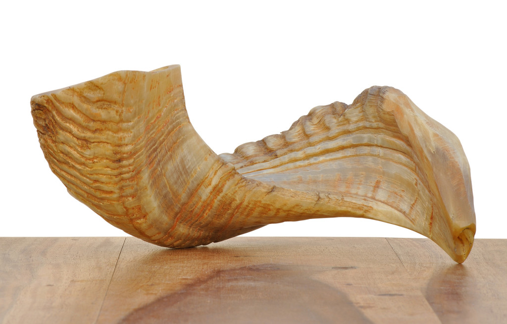 Feast of Trumpets - Discovering The Jewish Jesus
